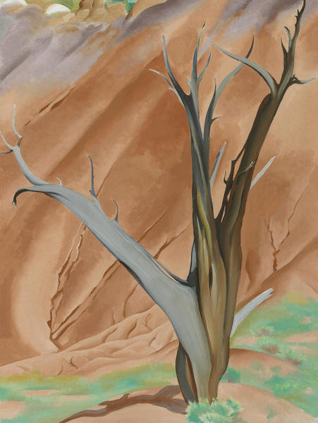 Gerald's Tree I, 1937 by Georgia O'Keeffe - Paper and Canvas Print ...